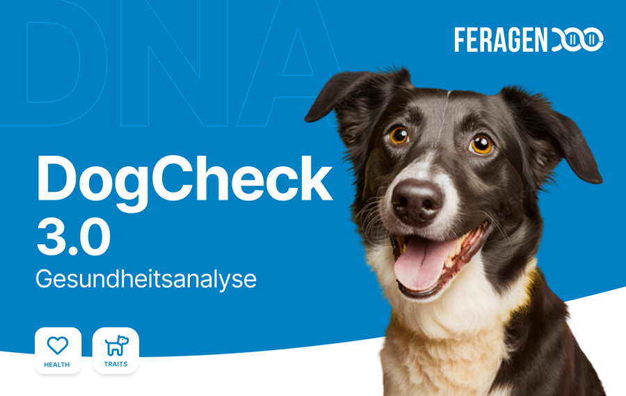 FERAGEN Online Shop - Kaufen Sie bei den Experten