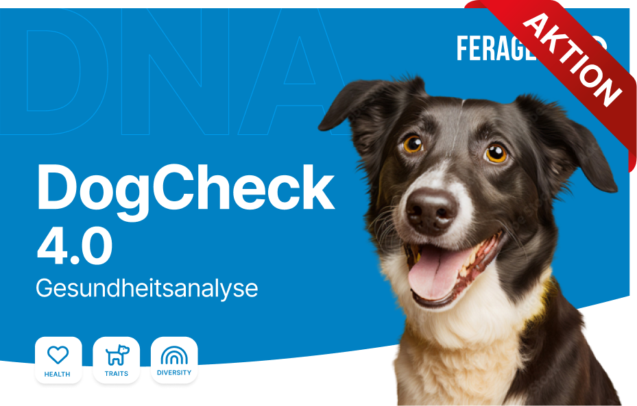 DogCheck 4.0 – Gesundheitstest für Hunde + Gratis ISAG 2020 DNA-Profil